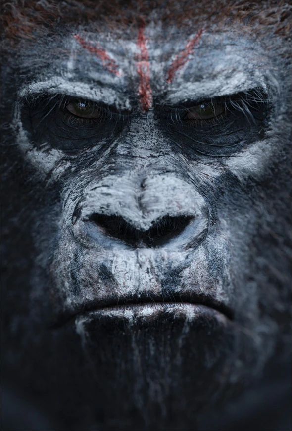 Luca/Gallery | Planet of the Apes Wiki | Fandom