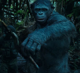 Evolved Ape | Planet of the Apes Wiki | Fandom