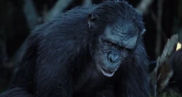 Evolved Ape | Planet of the Apes Wiki | Fandom