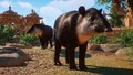 Baird's Tapir | Planet Zoo Wiki | Fandom