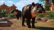 Baird's Tapir | Planet Zoo Wiki | Fandom