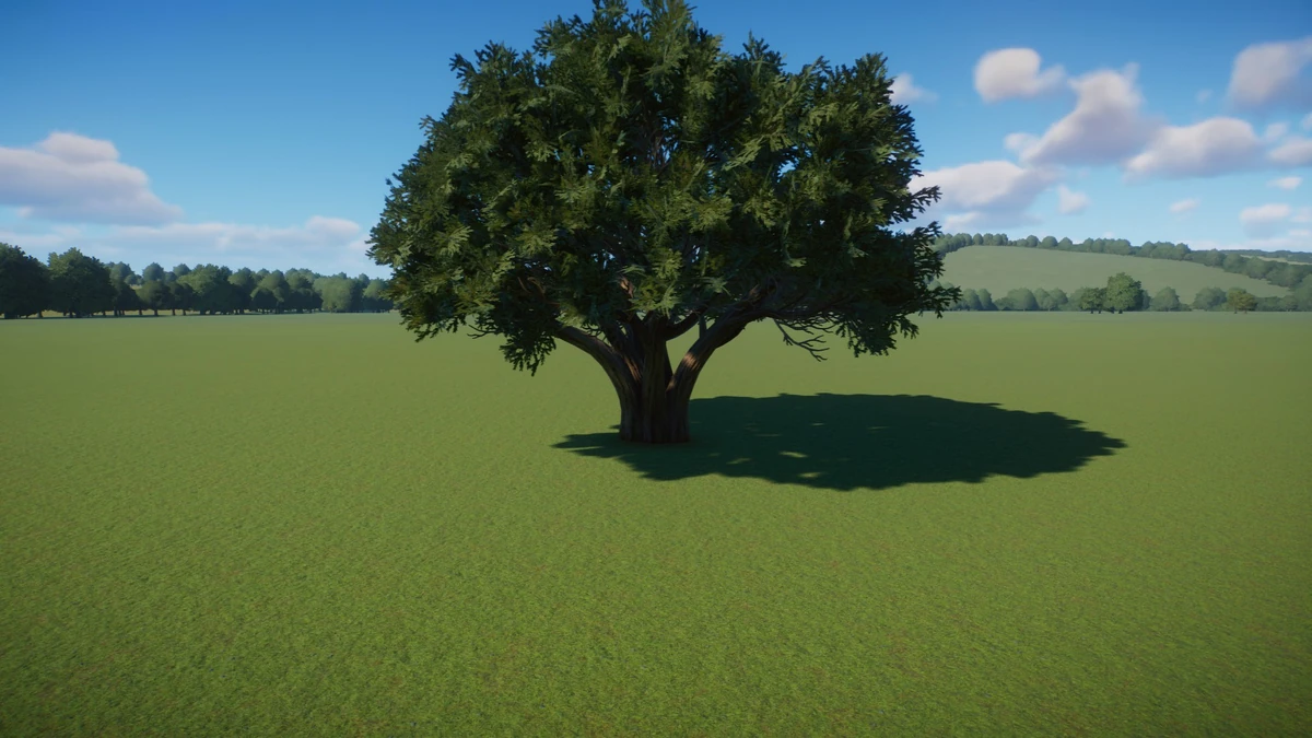 Common Yew Tree | Planet Zoo Wiki | Fandom