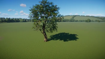 Mpingo Tree | Planet Zoo Wiki | Fandom