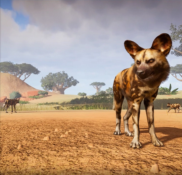 Lycaon | Wiki Planet Zoo | Fandom