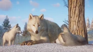 Arctic Wolf | Planet Zoo Wiki | Fandom