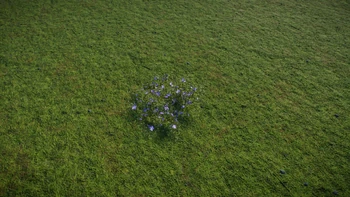 Periwinkle | Planet Zoo Wiki | Fandom