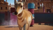 Pronghorn Antelope | Planet Zoo Wiki | Fandom