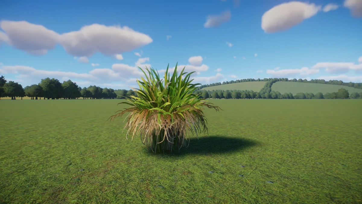 Kahakaha | Wiki Planet Zoo | Fandom