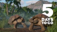 Galapagos Giant Tortoise | Planet Zoo Wiki | Fandom