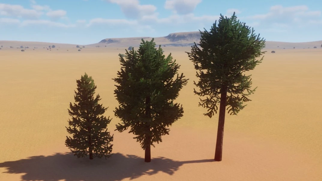 Araucaria du Chili | Wiki Planet Zoo | Fandom