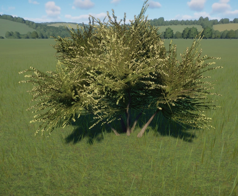Wattle Bush | Planet Zoo Wiki | Fandom