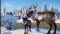 Reindeer | Planet Zoo Wiki | Fandom