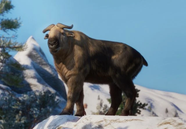 Takín | Planet Zoo Wiki | Fandom