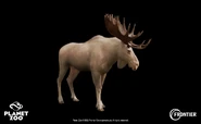 Moose | Planet Zoo Wiki | Fandom