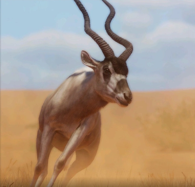 Addax | Wiki Planet Zoo | Fandom