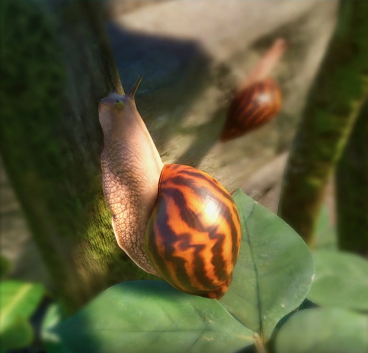 Escargot tigre | Wiki Planet Zoo | Fandom