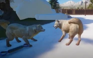 Arctic Wolf | Planet Zoo Wiki | Fandom