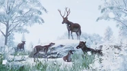 Père David's Deer | Planet Zoo Wiki | Fandom