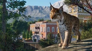 Eurasian Lynx | Planet Zoo Wiki | Fandom