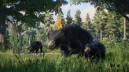 Sloth Bear | Planet Zoo Wiki | Fandom