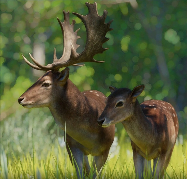 Daim européen | Wiki Planet Zoo | Fandom