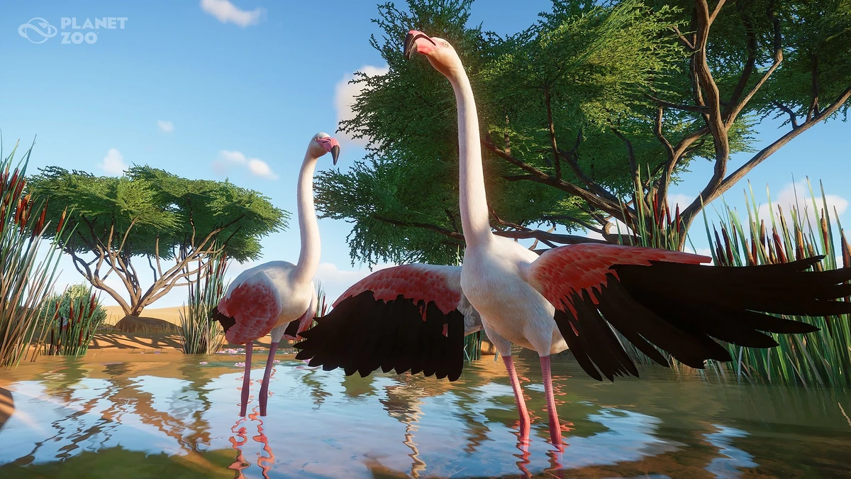 1.0.1 Update | Planet Zoo Wiki | Fandom