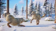 Arctic Wolf | Planet Zoo Wiki | Fandom