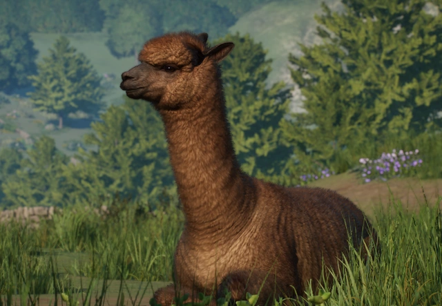 Alpaca | Planet Zoo Wiki | Fandom