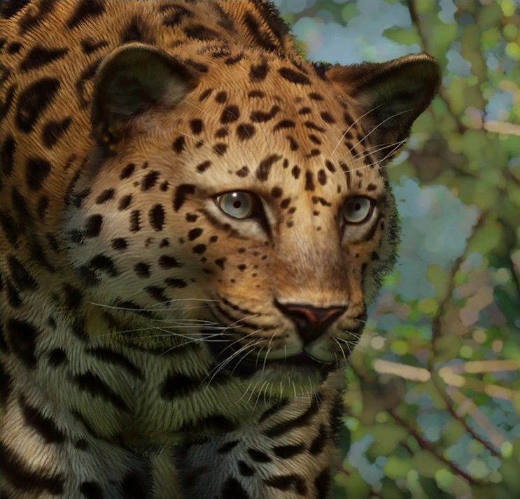 Léopard de l'Amour | Wiki Planet Zoo | Fandom