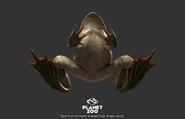 American Bullfrog | Planet Zoo Wiki | Fandom