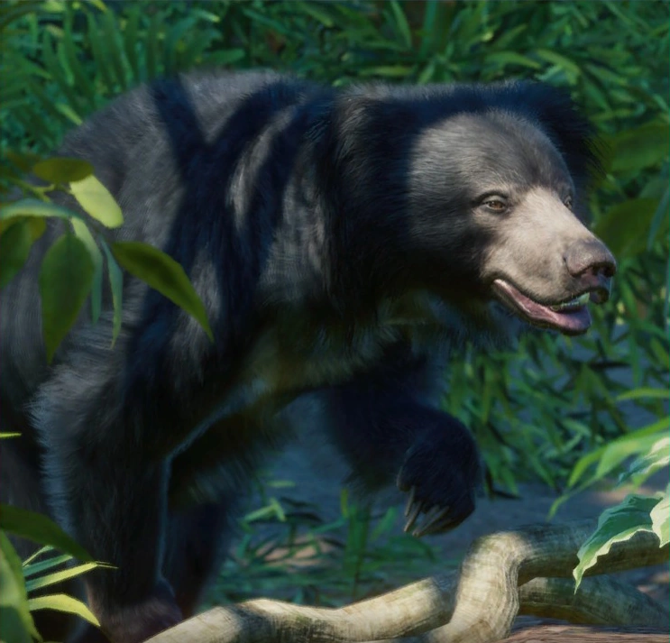 Ours lippu | Wiki Planet Zoo | Fandom