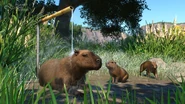 Planet Zoo: Console Edition | Planet Zoo Wiki | Fandom