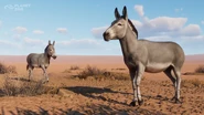 Arid Animal Pack | Planet Zoo Wiki | Fandom