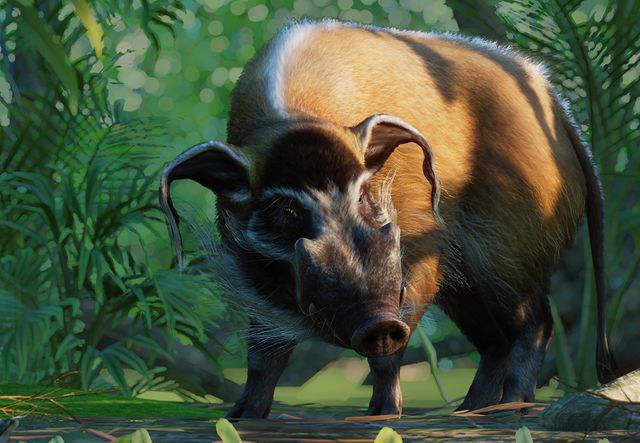 Red River Hog | Planet Zoo Wiki | Fandom