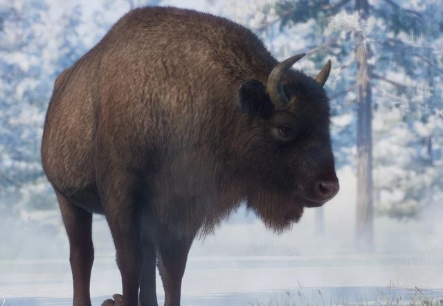 Categoría:Animales de taiga | Planet Zoo Wiki | Fandom