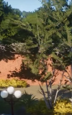 White Birch | Planet Zoo Wiki | Fandom