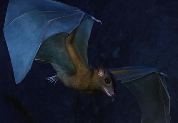 Egyptian Fruit Bat | Planet Zoo Wiki | Fandom