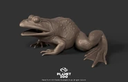 American Bullfrog | Planet Zoo Wiki | Fandom