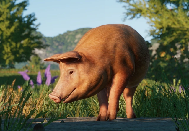 Tamworth Pig | Planet Zoo Wiki | Fandom