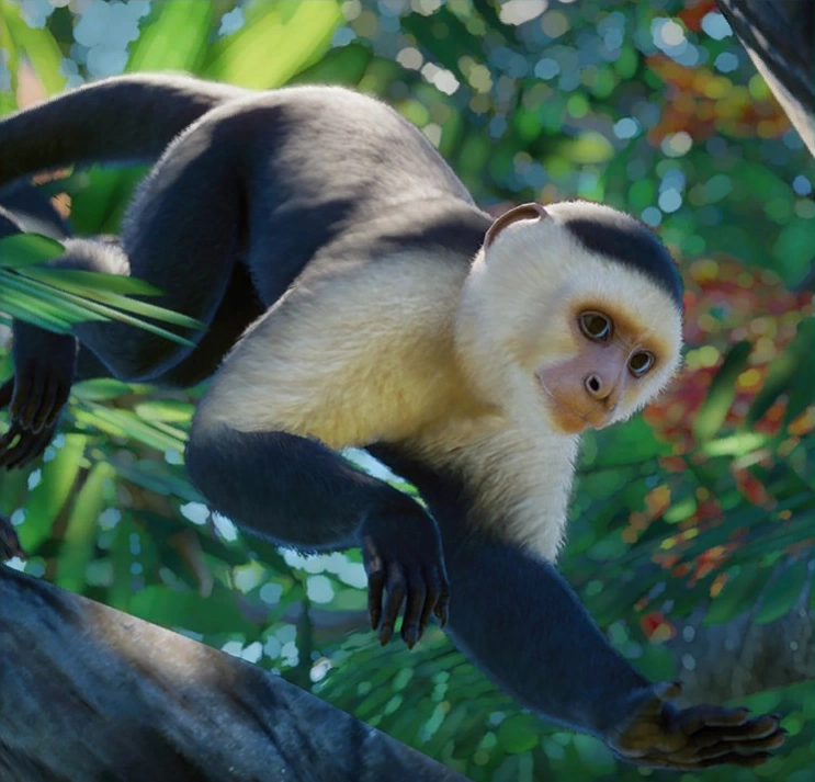 Sapajou capucin | Wiki Planet Zoo | Fandom
