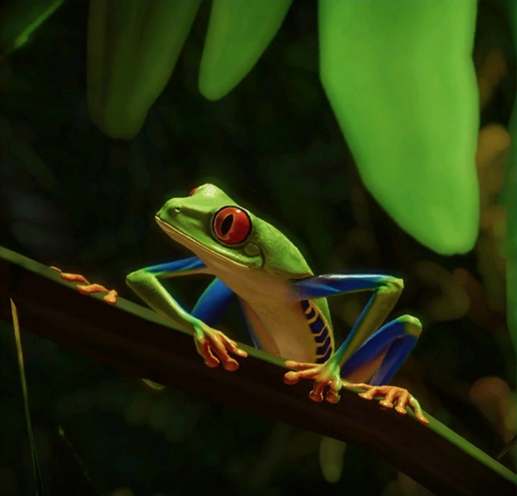 Rainette aux yeux rouges | Wiki Planet Zoo | Fandom