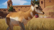 Pronghorn Antelope | Planet Zoo Wiki | Fandom