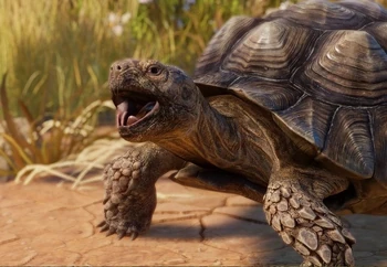 African Spurred Tortoise | Planet Zoo Wiki | Fandom