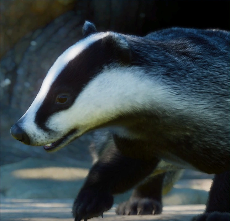 Blaireau européen | Wiki Planet Zoo | Fandom