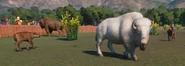 Breeding Animals | Planet Zoo Wiki | Fandom