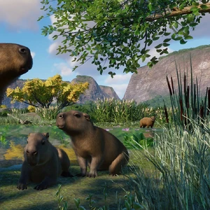 Discuss Everything About Planet Zoo Wiki | Fandom