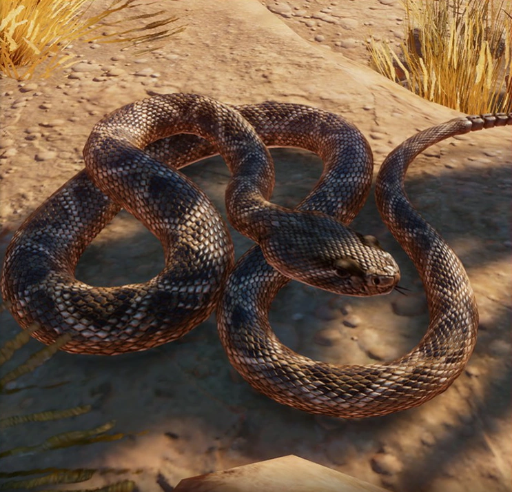 Crotale diamantin de l'Ouest | Wiki Planet Zoo | Fandom