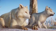 Arctic Wolf | Planet Zoo Wiki | Fandom