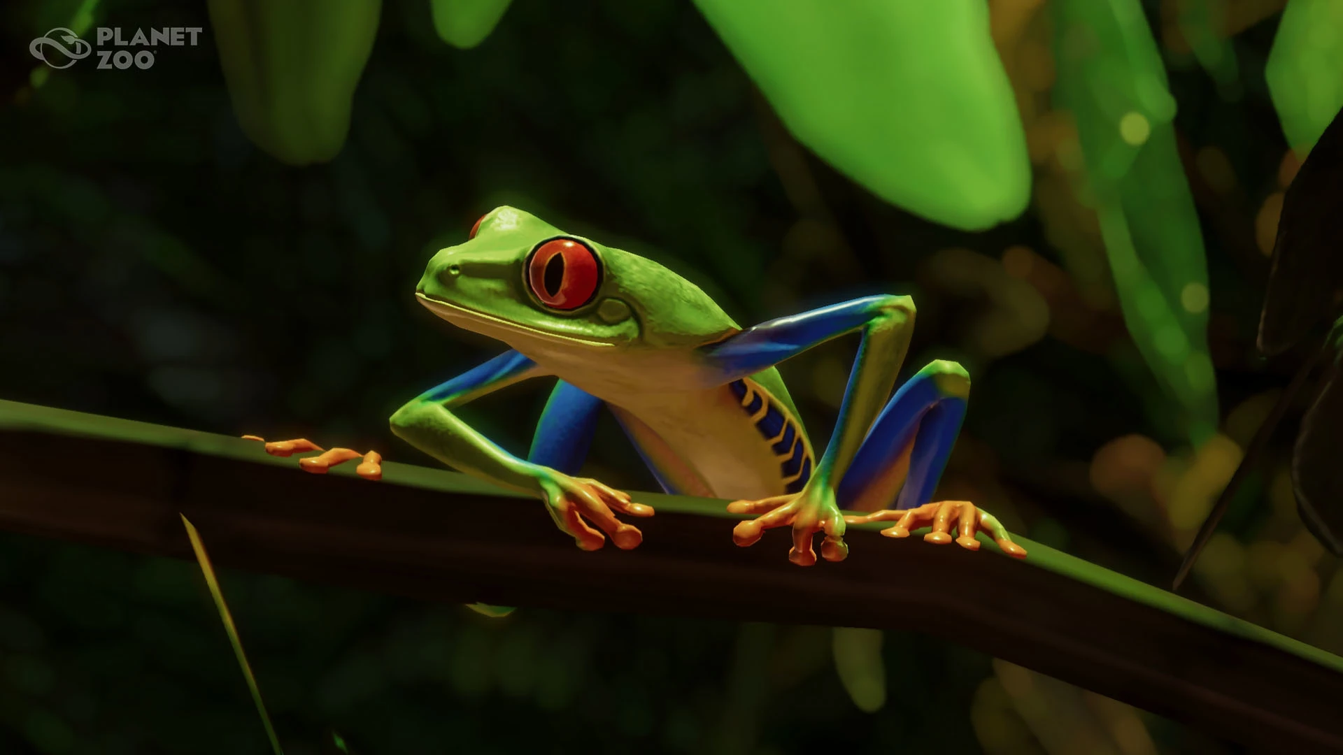 Fondo De Pantalla De Rana Roja 1920x1080 100+] Fondos De Fotos De