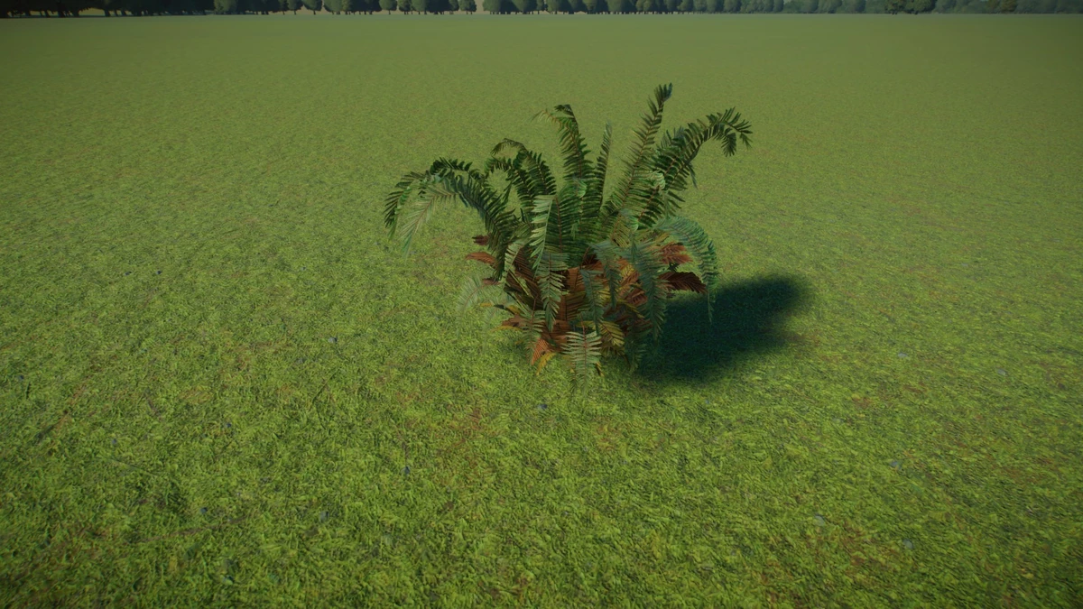 Basket Fern | Planet Zoo Wiki | Fandom